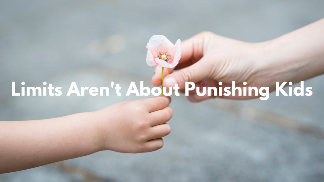 Setting Limits with your Child